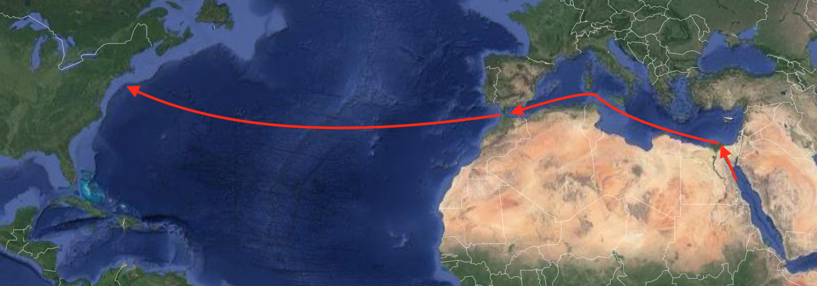 India to Egypt! - Speck